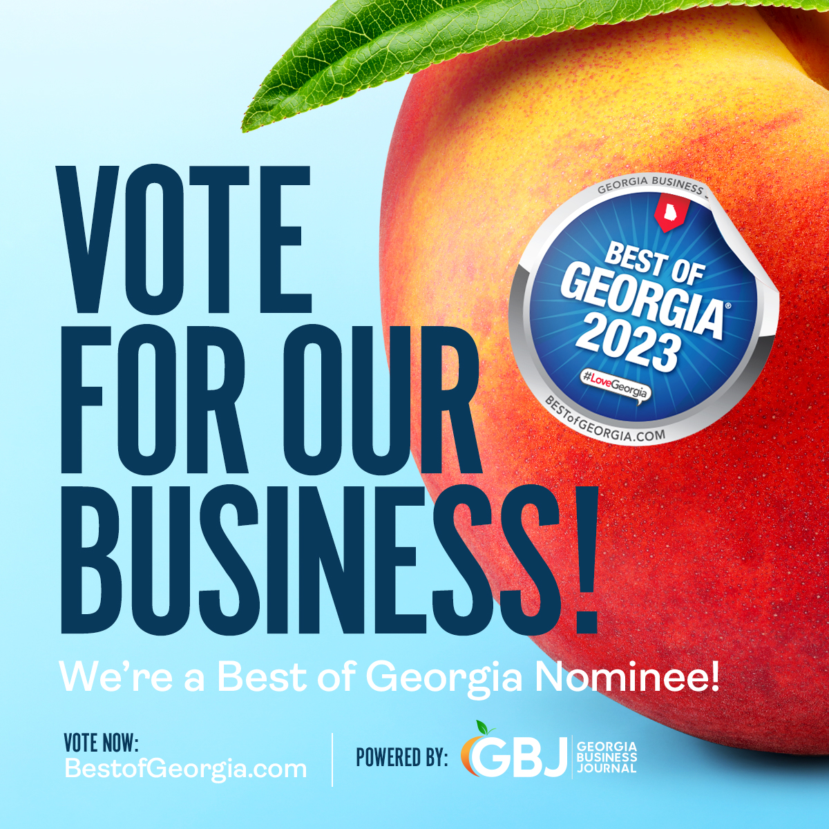 Best of Georgia - Campaign Kit